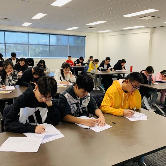 Study Tours – Union Institute Of Language